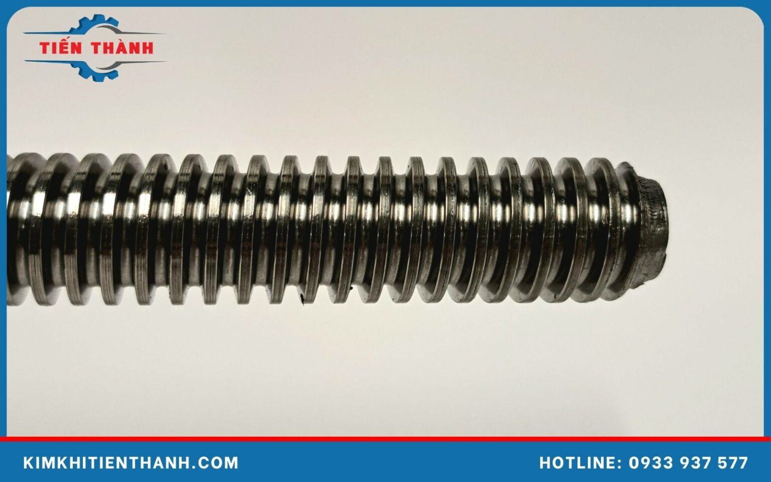 Ren có bao nhiêu loại? Tổng hợp các loại ren phổ biến